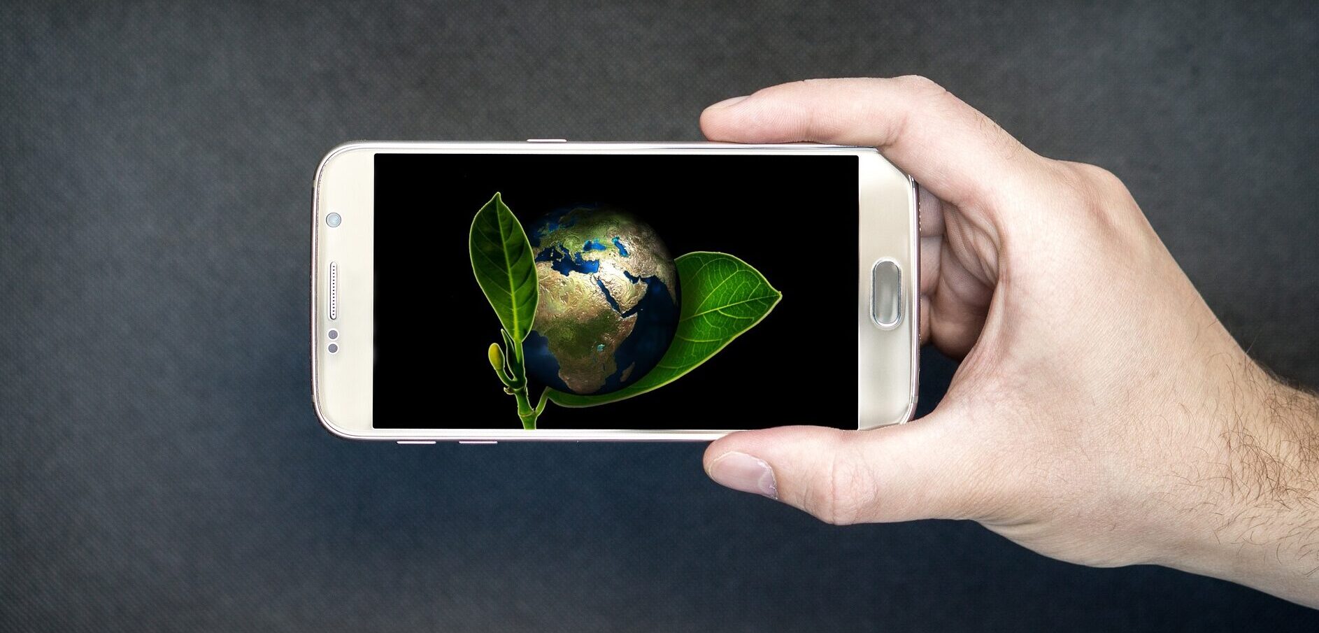 Environmental Modelling and Simulation - EnviroInfo 2024